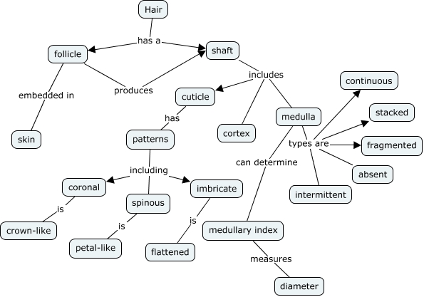 Hair Structure - What is the structure of hair?